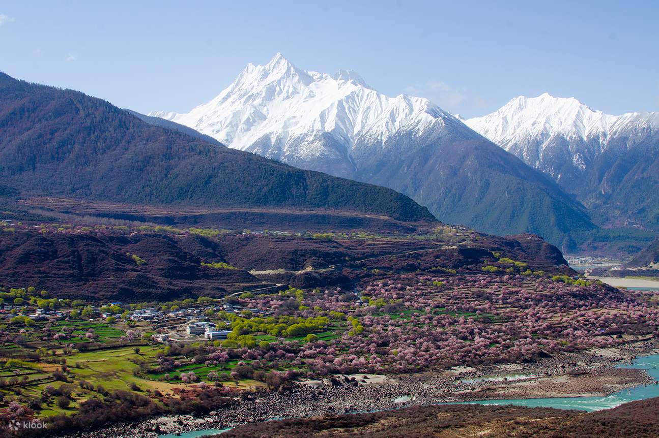 [Foreign Guests Only] 3-Day Private Tour in Nyingchi, Tibet (Peach ...